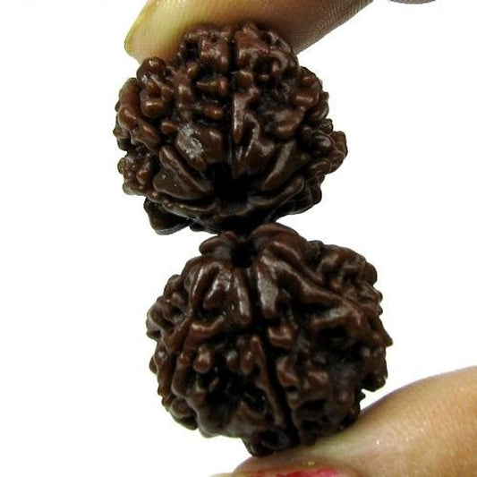 BUY Certified Natural Rudraksha beads online by Karizma Jewels